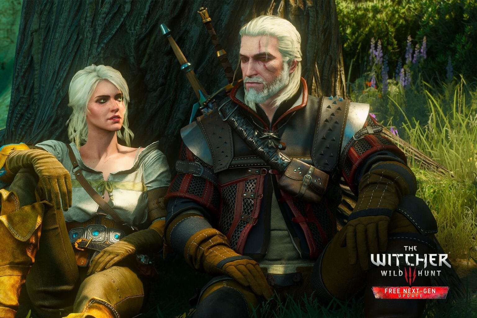 The Witcher TV Series Review: A Tale of Epic Adventures, Comparing the ...